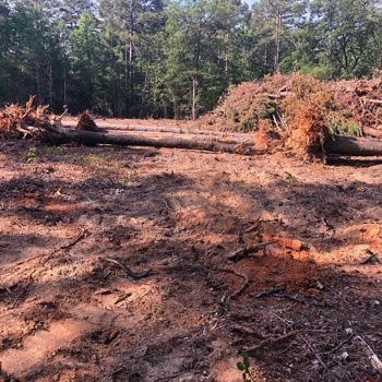 Raven Rock Gallery | Creech's